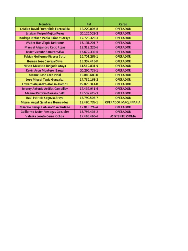 Listado de operadores y asistente SSOMA con datos personales y laborales | PDF