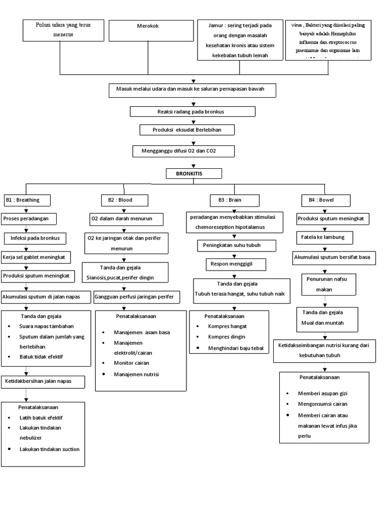 Pathway Bronkitis dan Penatalaksanaannya | PDF
