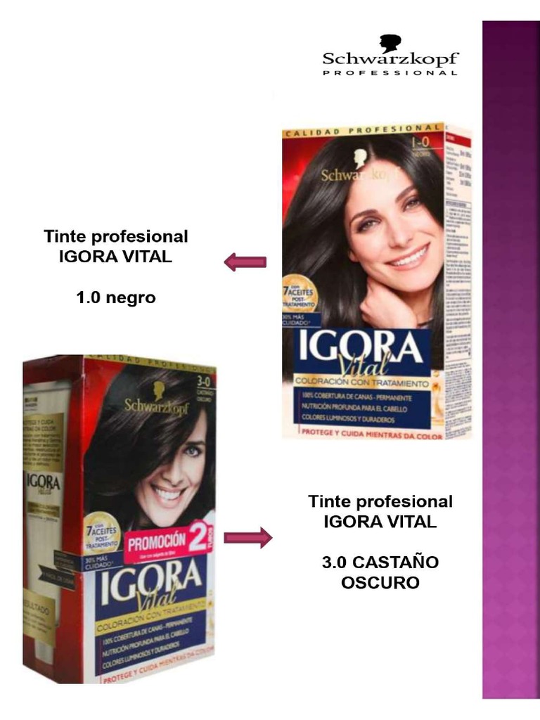 Catalogo de Tintes IGORA | PDF