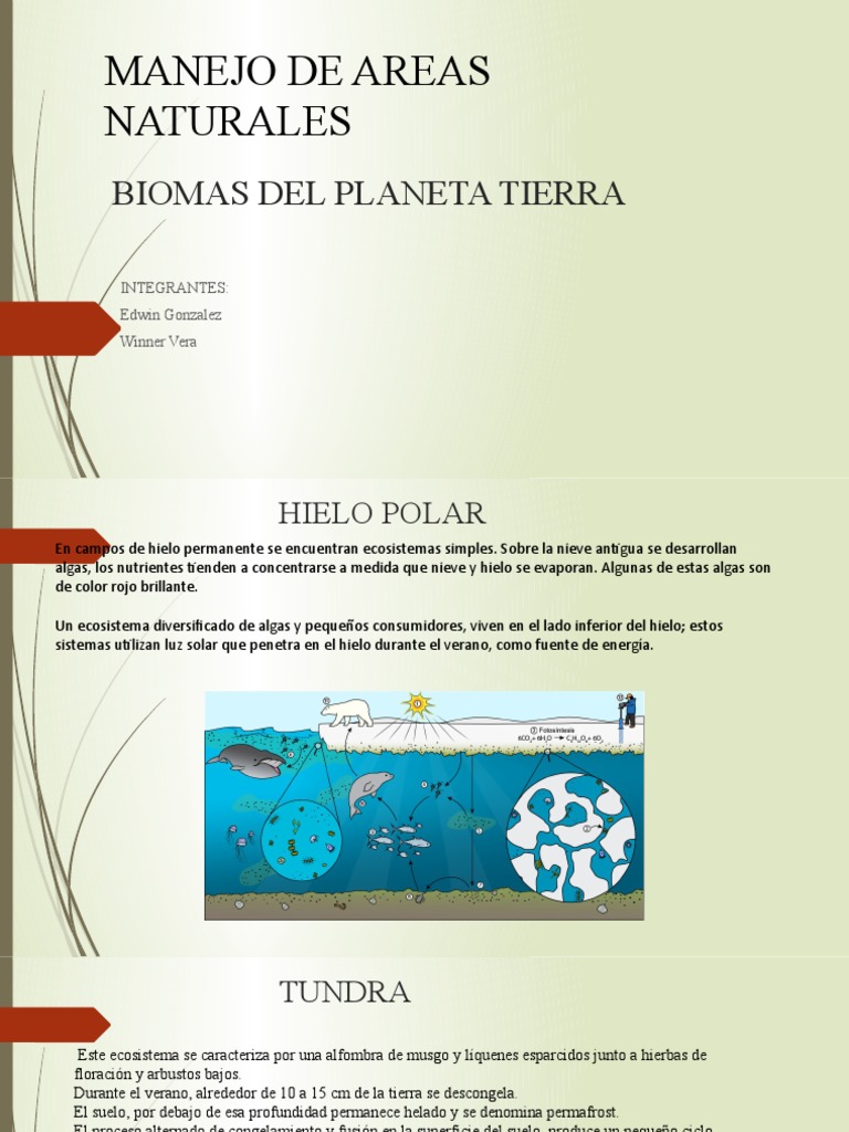 Biomas del Planeta Tierra: Clasificación y Tipos | PDF | Selva | Zona ...