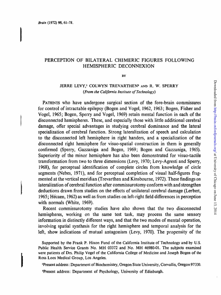 Perception of Bilateral Chimeric Figures | PDF | Lateralization Of ...
