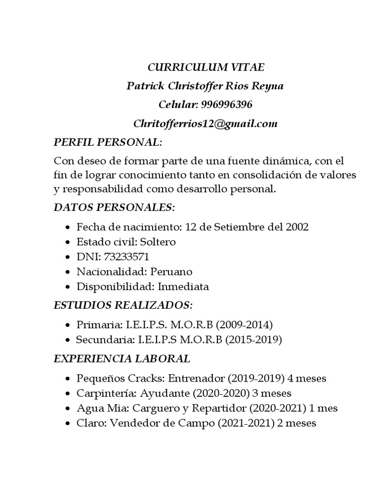 Curriculum Vitae Patrick | PDF