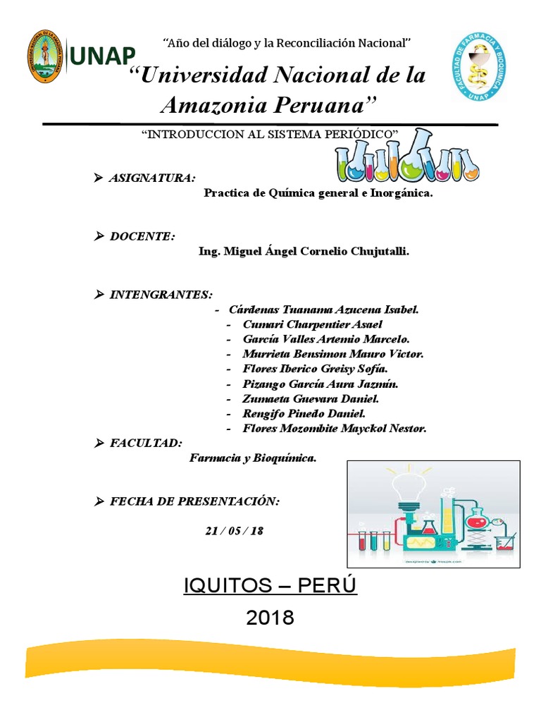 Universidad Nacional de La Amazonia Peruana | PDF