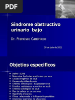 CAPÍTULO 17 - Prurigo Por Insectos (Cimiciasis) | PDF | Insecticida ...