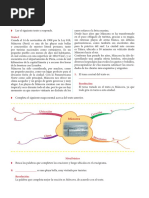 Los 7 Distritos Del Callao | PDF | Perú | Lima