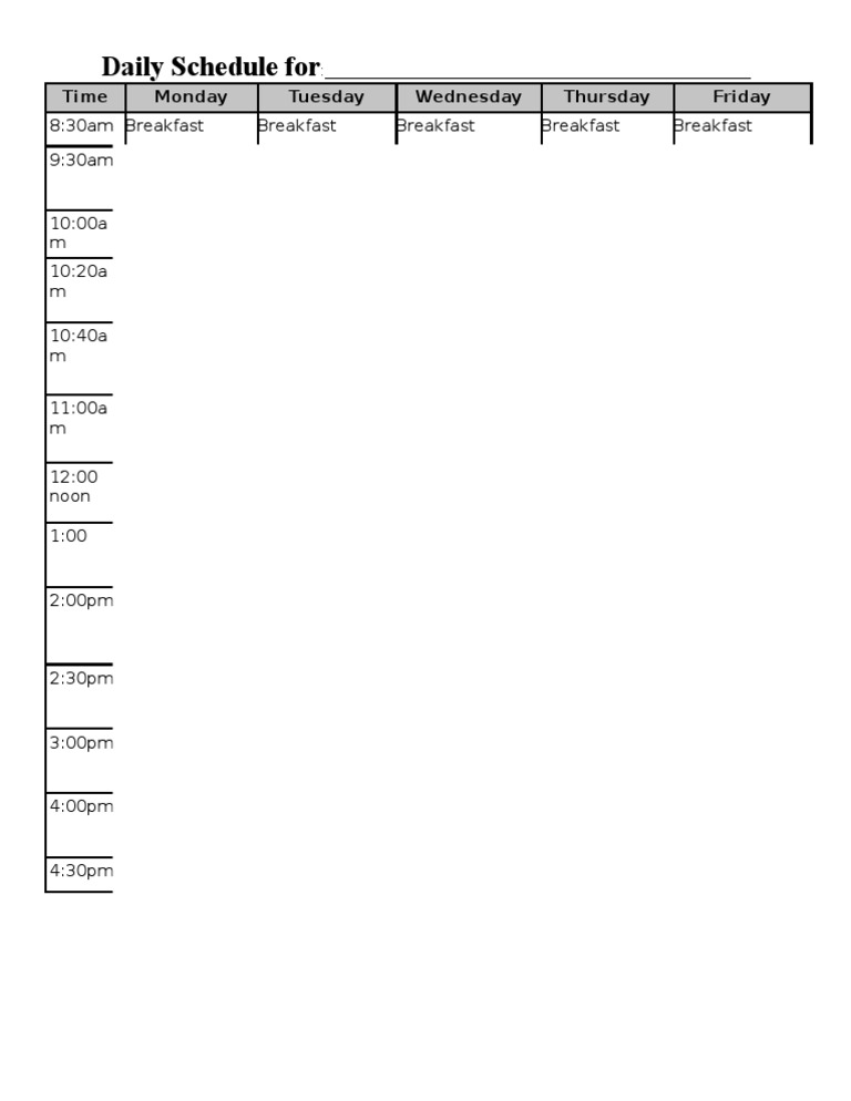 Daily Schedule | PDF