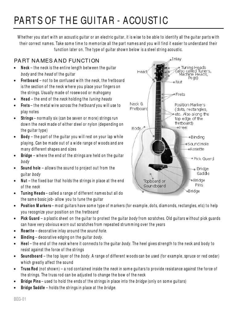 Parts of The Guitar | PDF | Guitars | Guitar Family Instruments