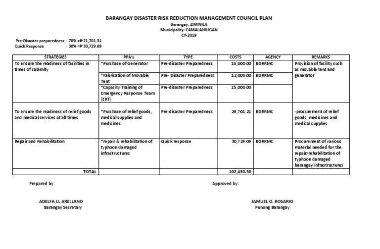 Barangay Disaster Risk Reduction Management Council Plan | PDF ...
