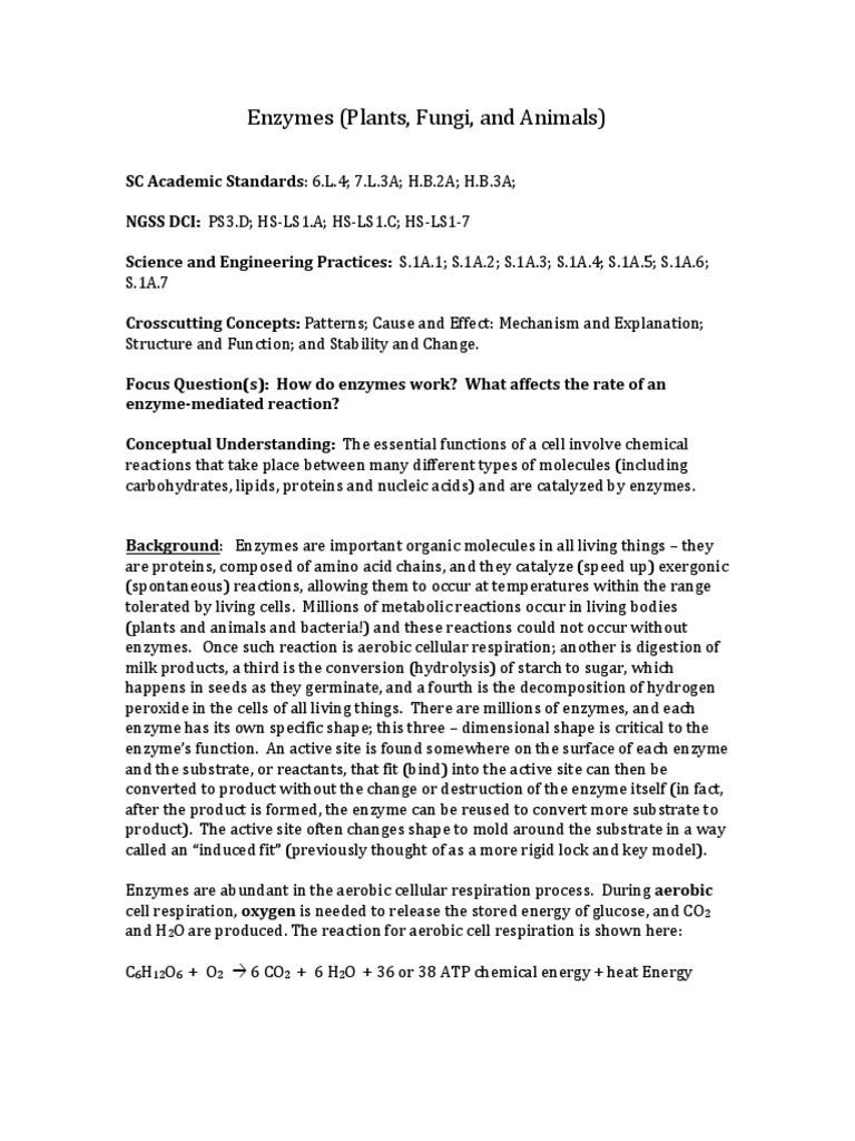 Enzymes (Plants, Fungi, and Animals) | PDF | Cellular Respiration ...