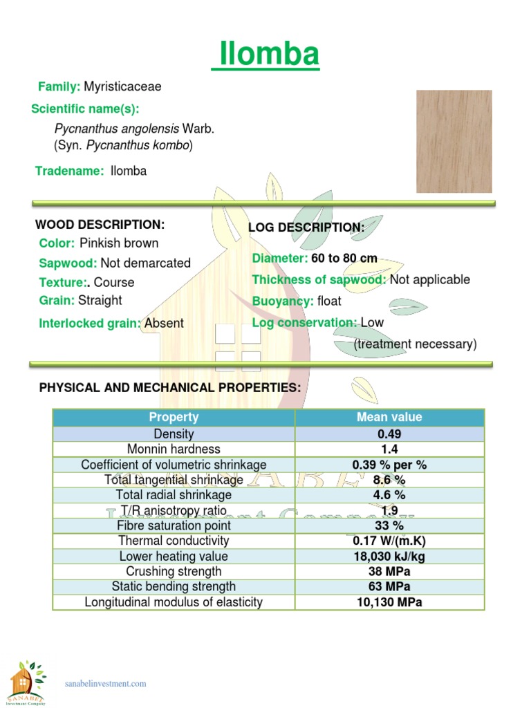 Ilomba: Pycnanthus Angolensis Warb | PDF | Plywood | Wood