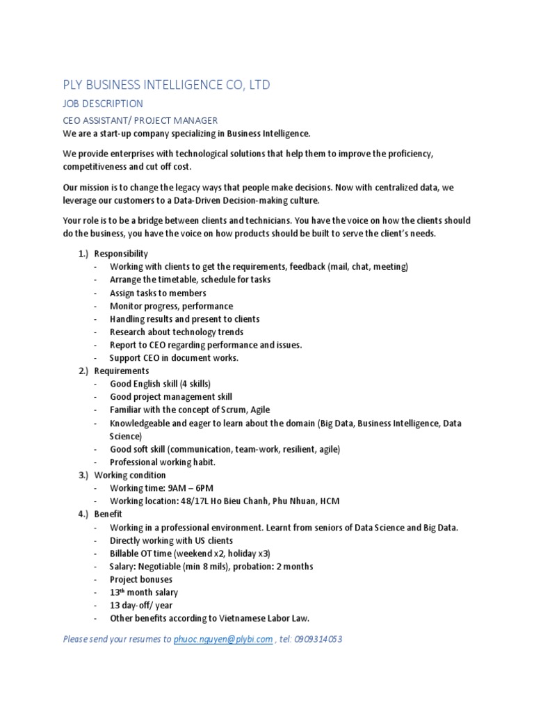 PLYBI JD ProjectManager 20210209 | PDF