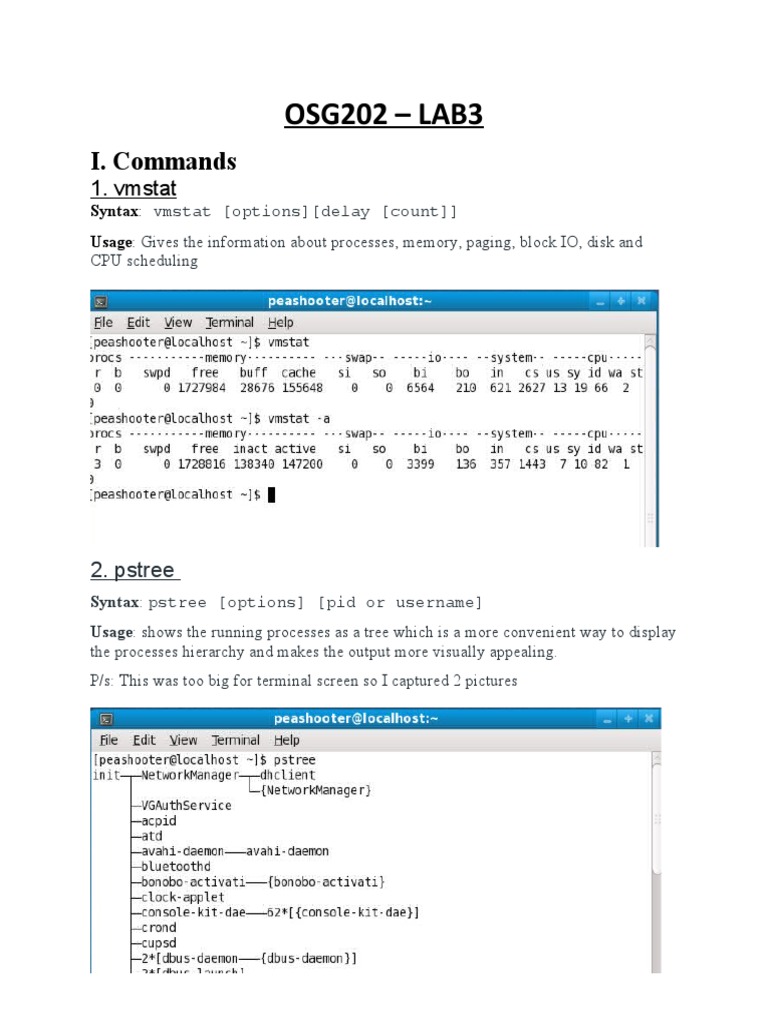 OSG202 - LAB3: I. Commands | PDF