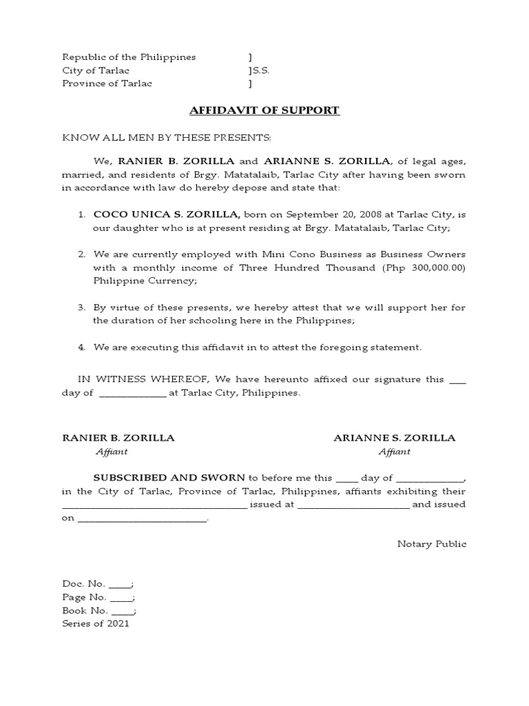 Affidavit of Support | PDF