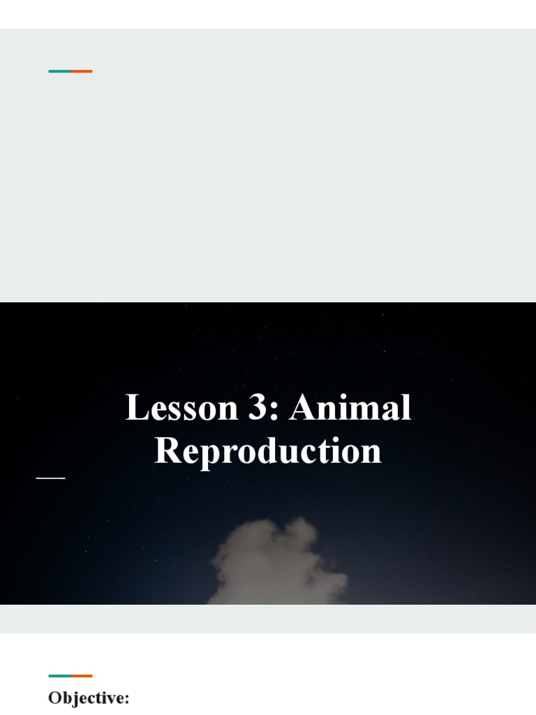 Lesson 3 - Animal Reproduction | PDF | Egg | Reproduction