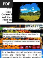 Agri Lesson 5 - Types of Orchard Farm | PDF | Trees | Fruit