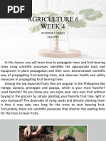 Bridge Grafting and Inarching Damaged Fruit Trees | PDF | Grafting | Trees