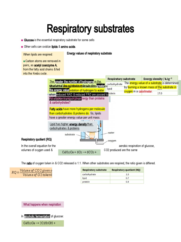 Respiratory substrates: Glucose, lipids, amino acids and their energy ...
