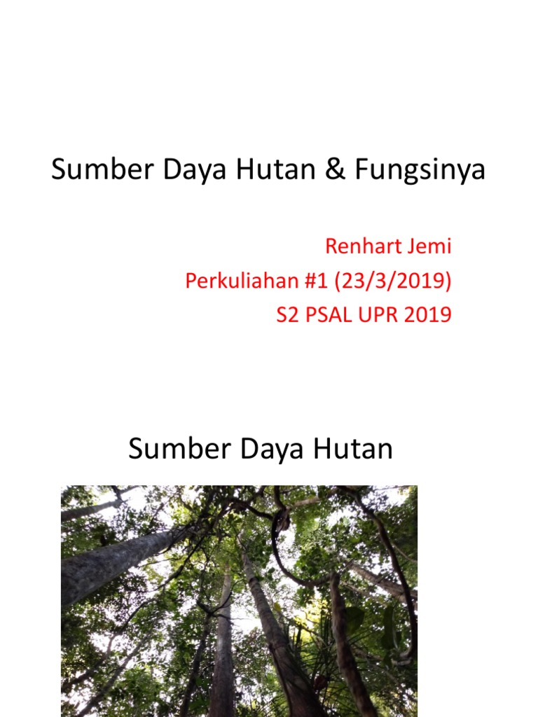 Sumber Daya Hutan & Fungsinya | PDF