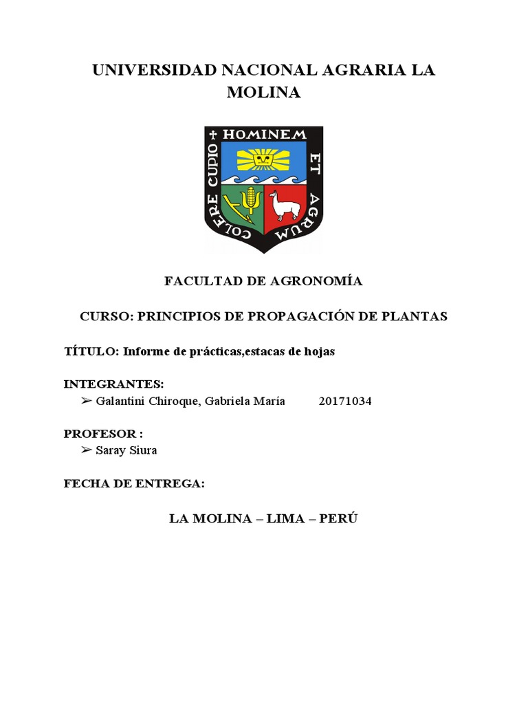 Informe Estacas de Hojas | PDF | Hoja | Tallo de la planta