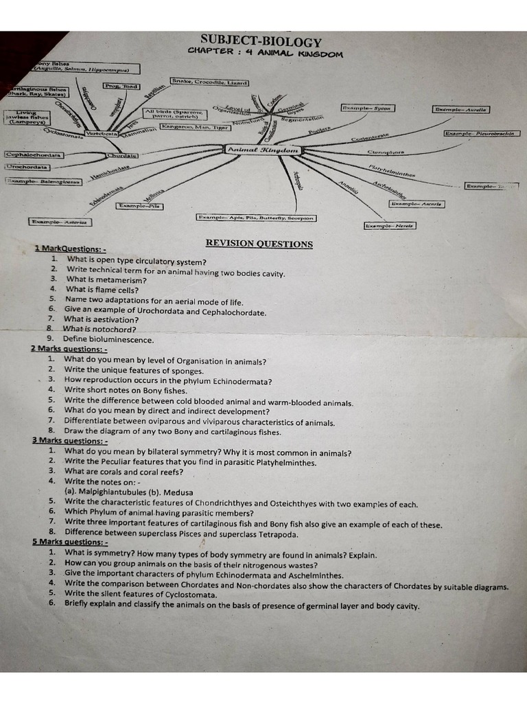 Animal Kingdom Handwritten Notes Very Important Questions PDF | PDF