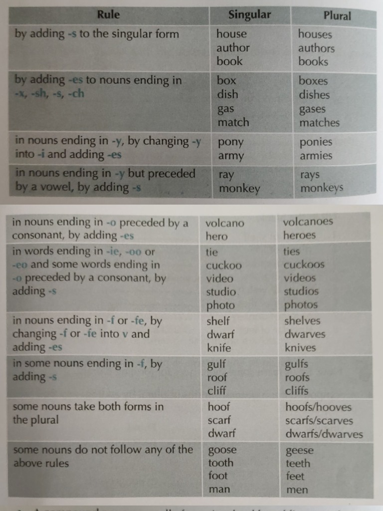 By Adding-S: Singular Singular | PDF | Grammatical Number | Plural