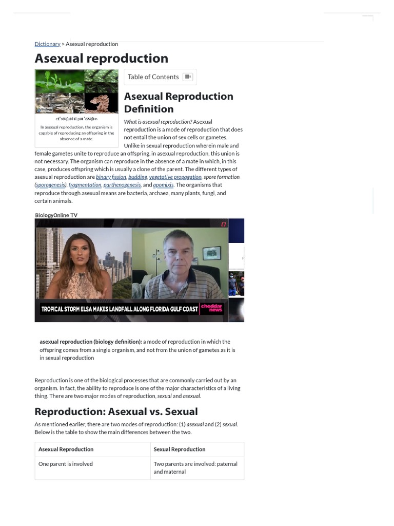 Asexual Reproduction - Definition and Examples - Biology Online ...