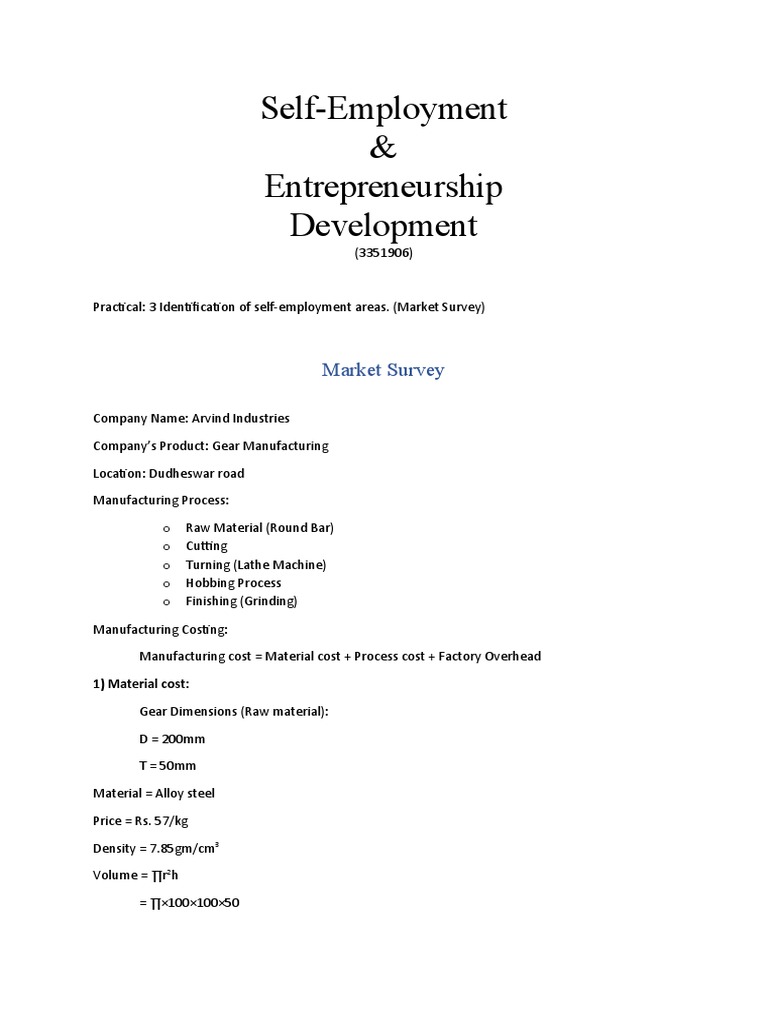 Identification of Self-Employment Areas. (Market Survey) | PDF ...