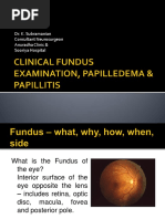 Optic Foramen Radiographic Overview | PDF