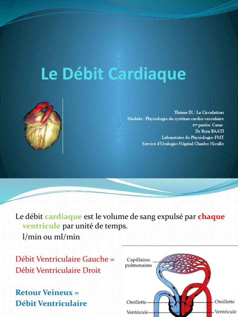 Le Débit Cardiaque2 | PDF | Contraction du muscle | Cœur