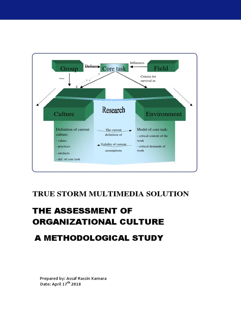 Organizational Culture Assessment | PDF | Organizational Culture ...