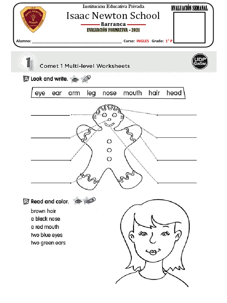 My Body Worksheet | PDF