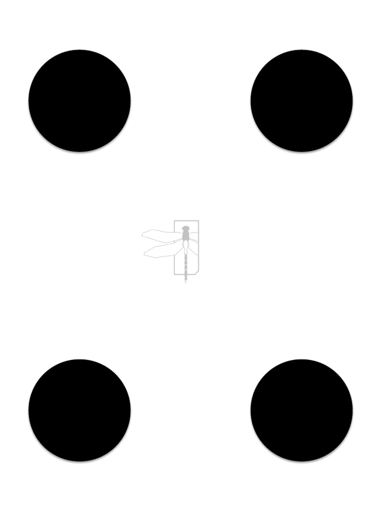 HSP Zero Dot Drill | PDF