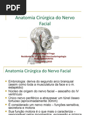 Anatomia Do Nervo Facial Neuropatia Facial E Trigeminal: O Que Preciso