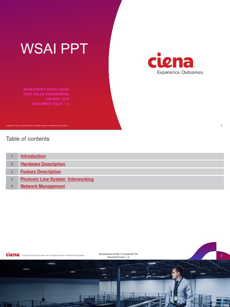 Waveserver Ai | PDF | Networking Standards | Internet Architecture