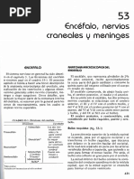 El Colículo Superior | PDF | Anatomía humana | Neurociencia