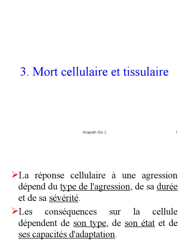 Mort Cellulaire Et Tissulaire | PDF | Apoptose | Maladie neurodégénérative
