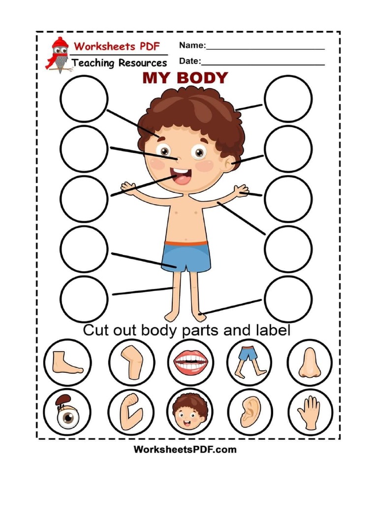 My Body | PDF