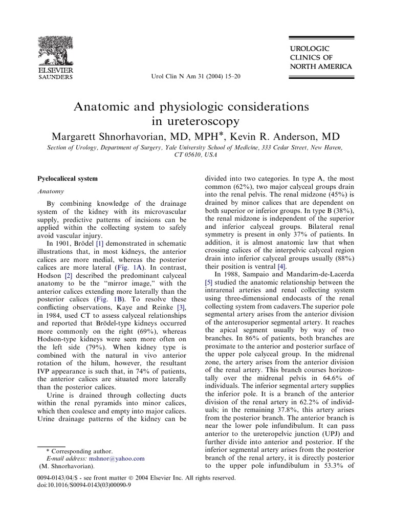 Anatomic and Physiologic Considerations in Ureteroscopy: Margarett ...