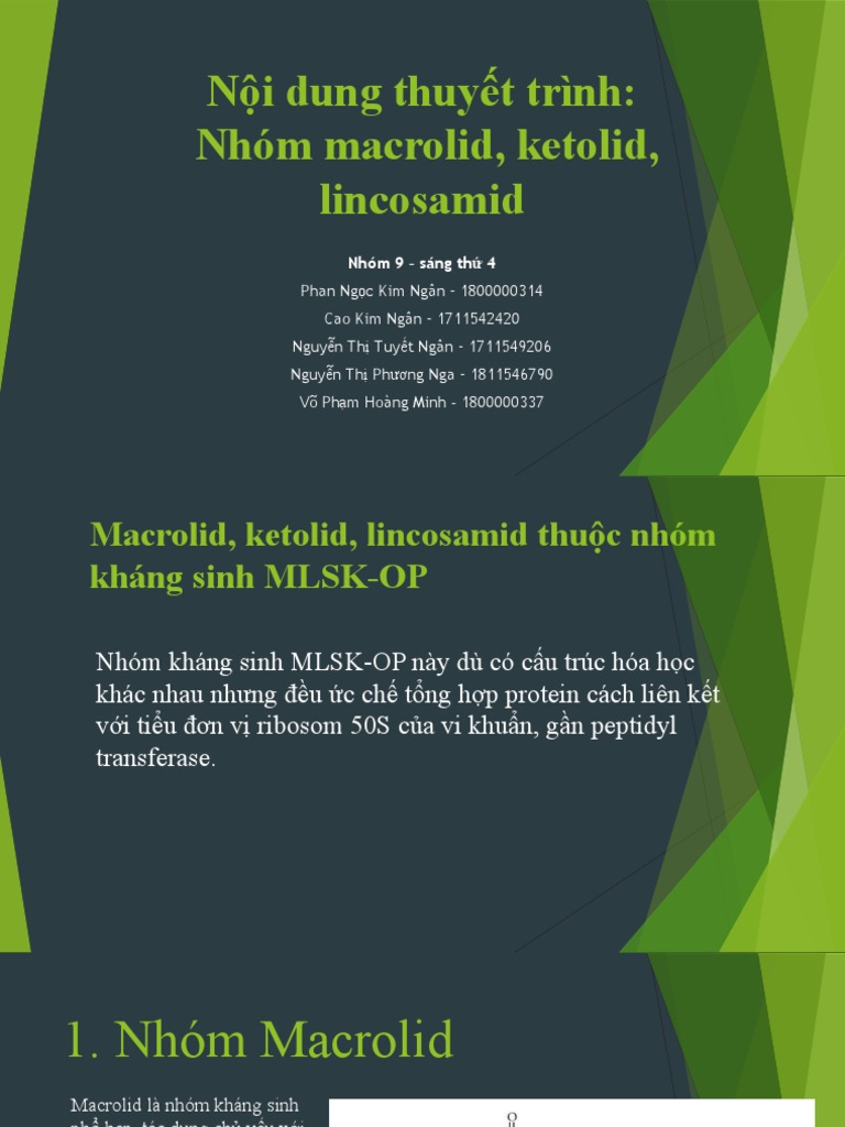 Nội dung thuyết trình: Nhóm macrolid, ketolid, lincosamid | PDF