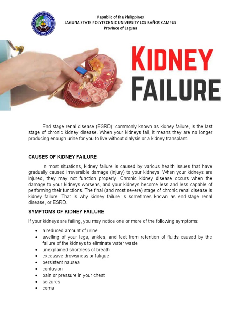 Understanding Kidney Failure: Causes & Effects | PDF | Dialysis ...