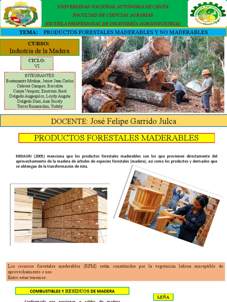 Productos Maderables y No Maderables (Madera) | PDF | Madera | Cúrcuma