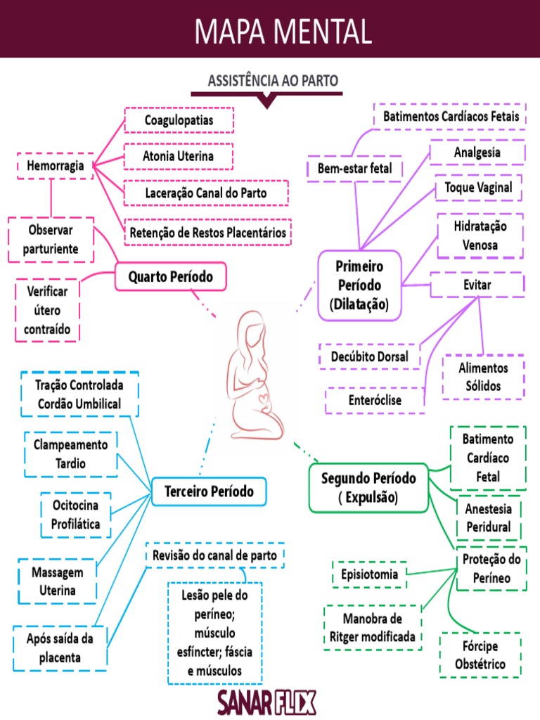 Mapa Mental da Assistência ao Parto | PDF