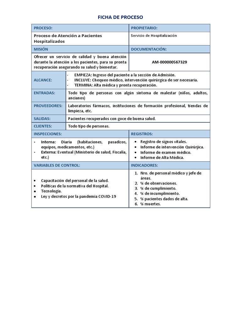 Ficha de Proceso | PDF