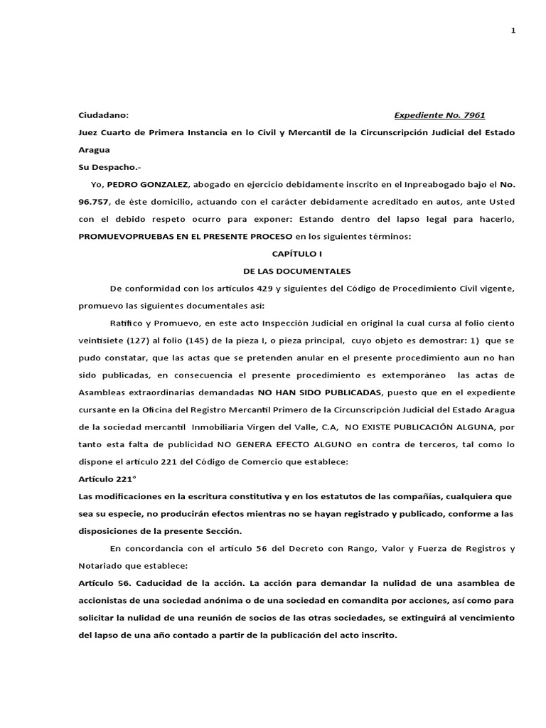 ESCRITO DE PRUEBAS LEOnel Ortiz | PDF | Procedimiento Civil | Justicia