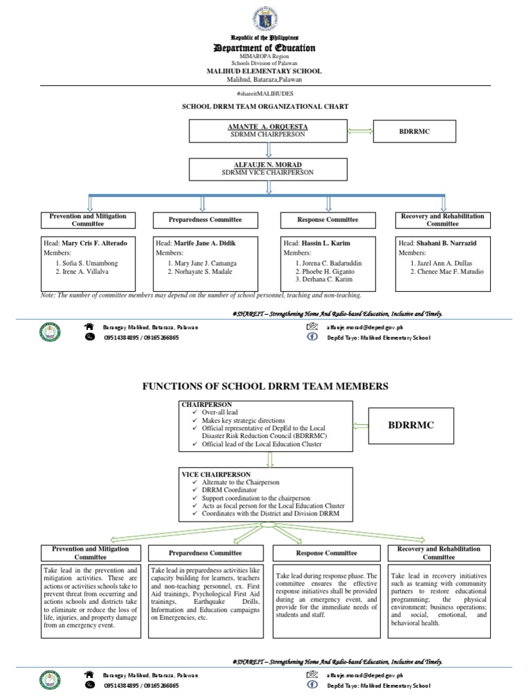 School DRRM Team Structure and Roles | PDF | Emergency Management | Safety