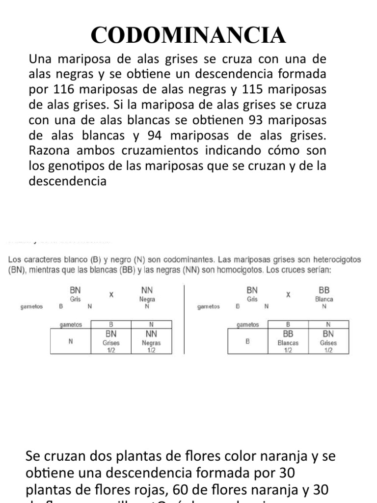 Hoja De Trabajo De Codominancia E Incompleta