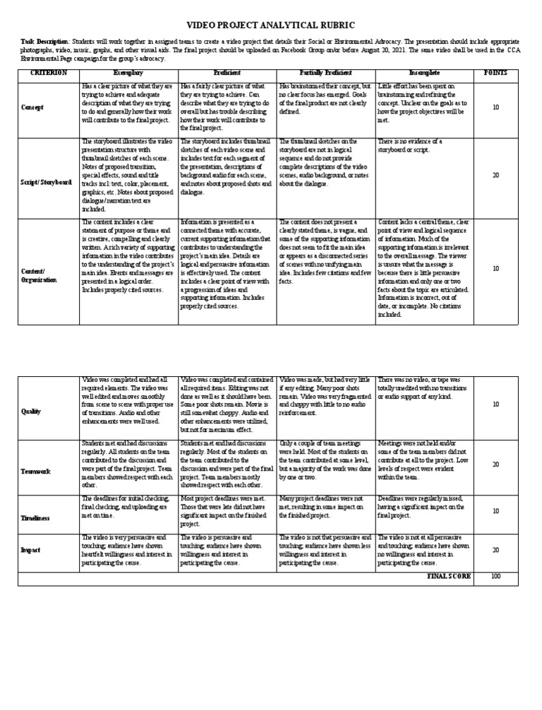 Video Project Analytical Rubric | PDF | Information | Cognition