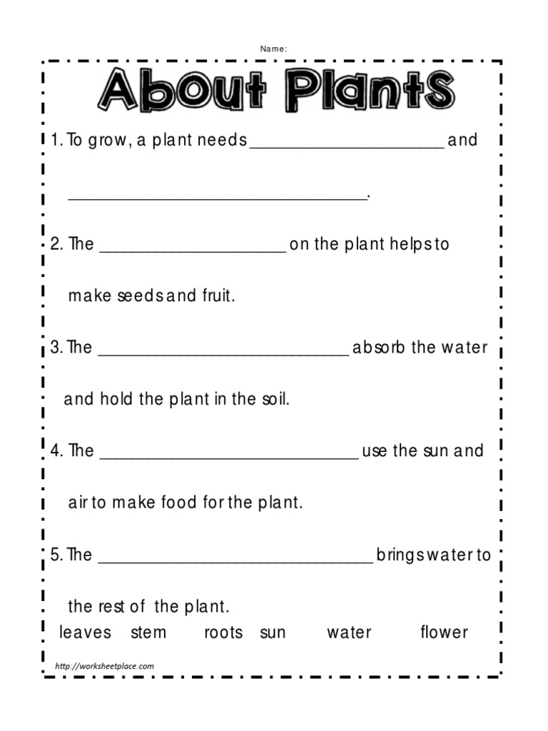 Plant Worksheet | PDF