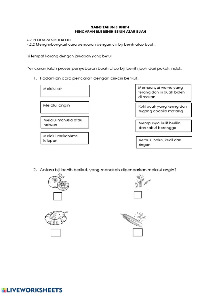 Pencaran Ialah Proses Penyebaran Buah Atau Biji Benih Jauh Dari Pokok ...