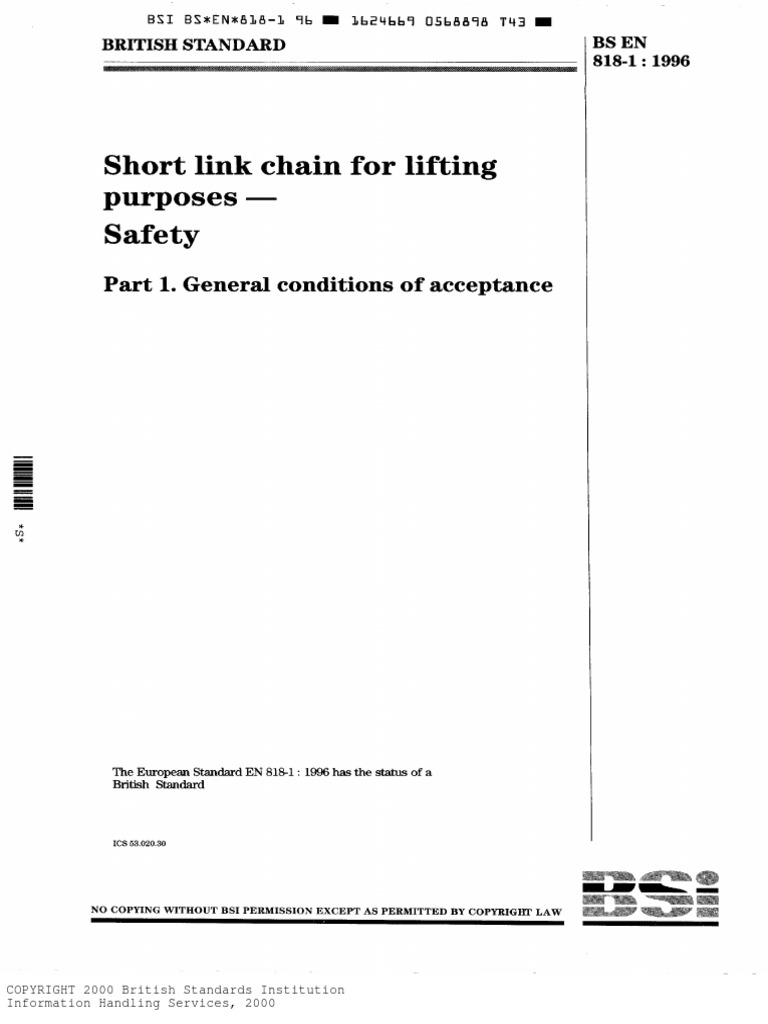 BS en 818-1 | PDF